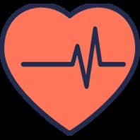 OTTO Insurance | Save on Auto, Home, Pet, and Life Insurance